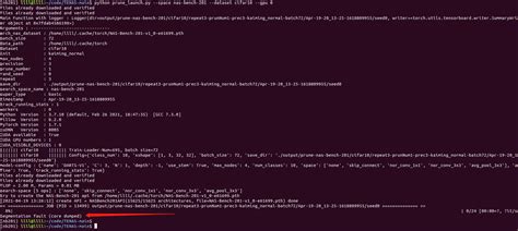 segment fault when execute prune launch py in bash while no error in