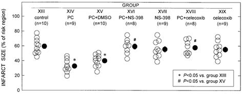 Myocardial Infarct Size In Groups Xiii Control N 10 Xiv Pc N 9