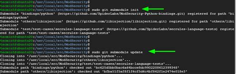 how to install modsecurity for nginx on debian ubuntu