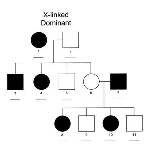 Solved The Pedigree Above Shows The Inheritance