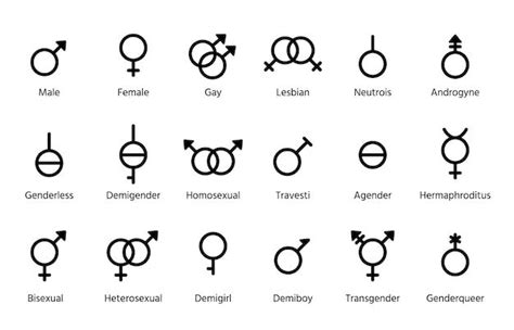 Gender Symbols Set Simple And Clear Illustration