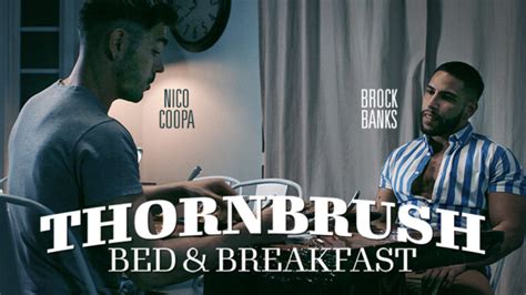 Disruptive Films Debuts Thriller Thornbrush Bed And Breakfast Truly