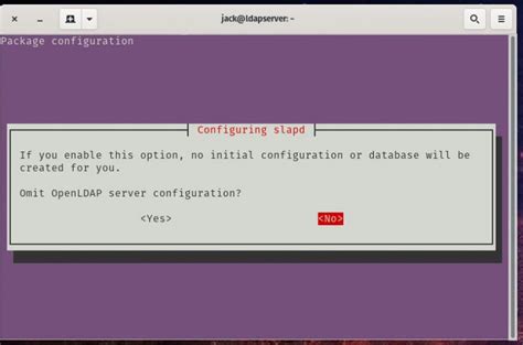 how to install openldap and phpldapadmin on ubuntu server 20 04