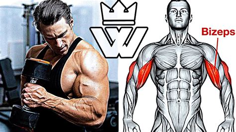 Massive Arm Workout Top 10 Exercises For Biceps Triceps Youtube