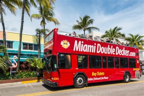 Explore The Vibrant Sights Of Miami City Half Day Tour By Bus With