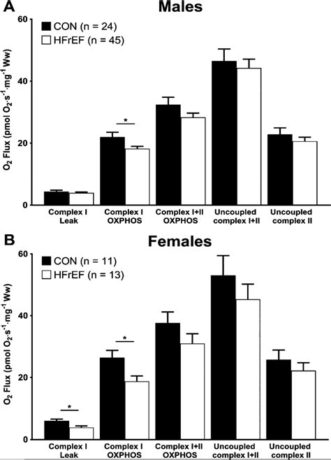 Skeletal Muscle Mitochondrial O2 Flux Across All Respiratory States In