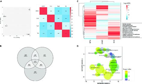 Analysis Of Gene Expression Profile In Experimental Groups By Using