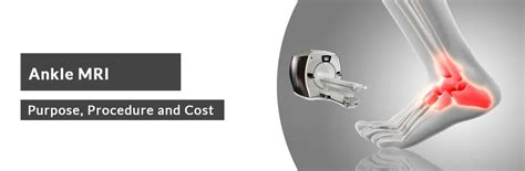 Ankle Mri Purpose Procedure Cost And Best Mri Centre