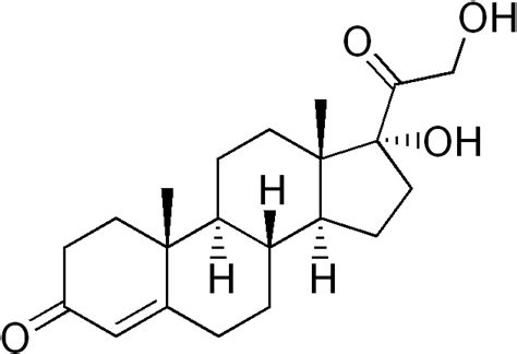 Hydrocortisone Psychology Wiki Fandom Powered By Wikia