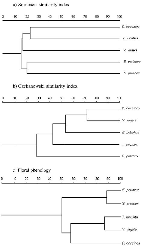 Dendrograms Showing A Sorensen Similarity Indexes S Obtained From