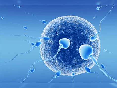 Semen Analysis Fertility And Women Health Centre