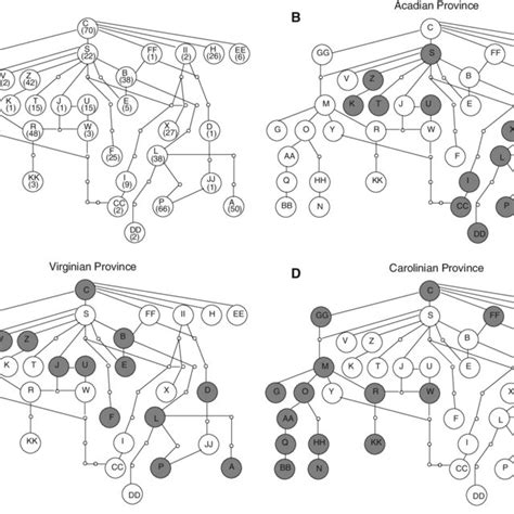 A Network Of Mtdna Control Region Sequence Haplotypes Of Atlantic