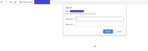 excel how to handle webpage pop up with vba and selenium
