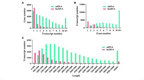 Identification And Characterizationof Mrnas And Long Non Coding Rnas
