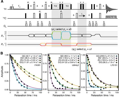 Hahn Echo Measurement Of R2 Relaxation Rates For Methyl Dq And Qq