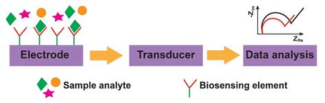Schematic Showing The Operating Principle Of A Biosensor The Plot