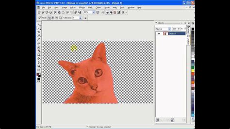how to erase background image using coreldraw youtube