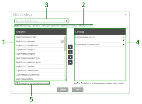 query parameters momo support