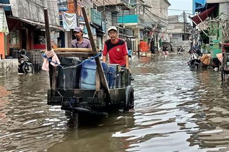 Ini Daftar Pesisir Yang Berpotensi Banjir Rob Akibat Fenomena Super New
