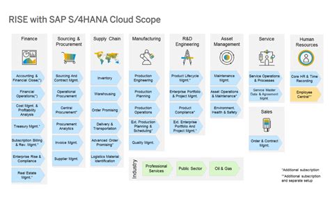 digital transformation with rise with sap sap blogs