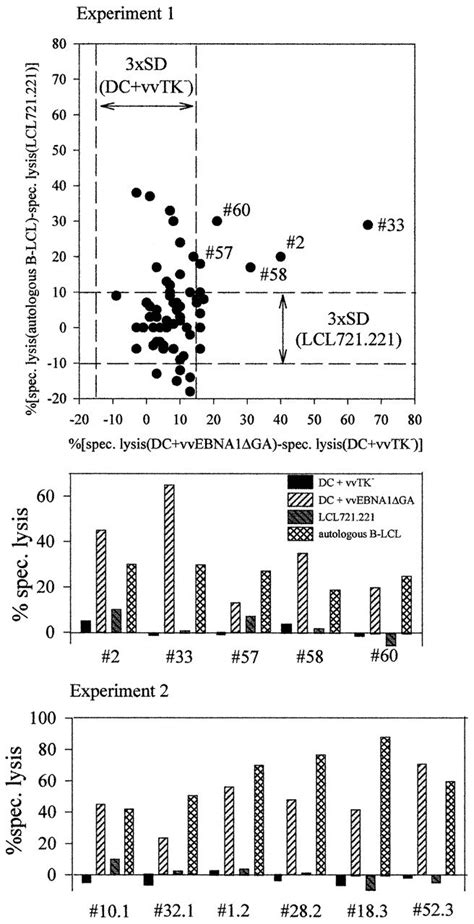 Ebna1 Specific Cd4 Ctl Sublines Kill B Lcls B Lcls Were Generated