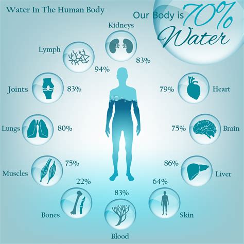 Why Is Water So Important Nikki Kuban Minton