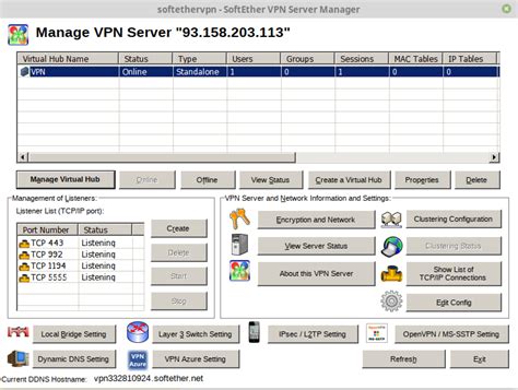 softether vpn setup with dnsmasq and port forwarding what the server