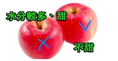 太實用了！賣13年水果的老闆，教你怎麼挑好這「17種水果」！