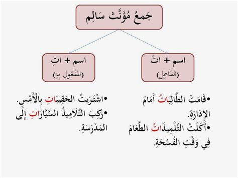 Arabic For Athfal جمع مؤنث سالم