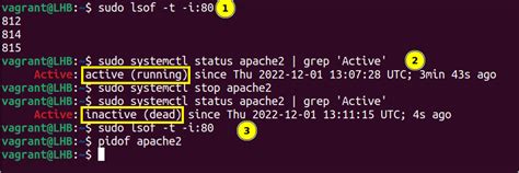 kill process running on a specific port in linux laptrinhx