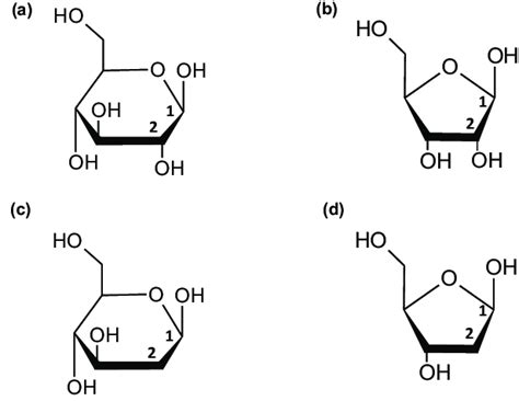 Molecular Structures Of A D Glucose B D Ribose C Download
