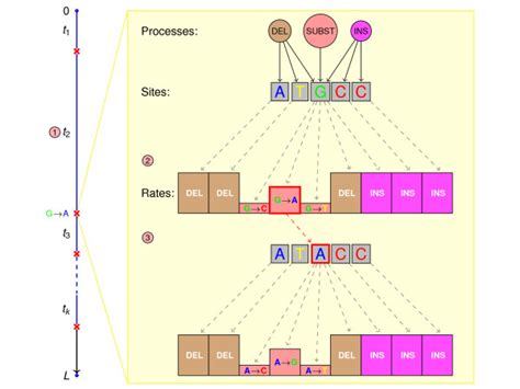 Illustration Of The Gillespie Algorithm ① The Rate At Which The Next