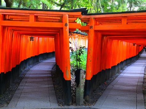絶景「鳥居が映える神社」9選！千本鳥居や水辺の赤い鳥居も必見【全国】 ｜じゃらんニュース