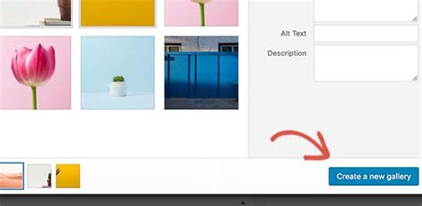 how to add caption to images in wordpress beginner s tutorial