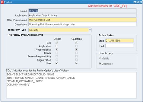 oracle stuff profile options in oracle apps r12 overview fnd profile