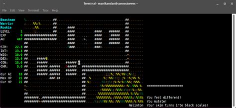 how to install zangband on ubuntu free rogue like games