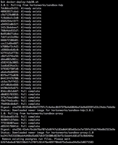 deploying hortonworks sandbox on docker