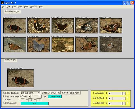 retrieved results using a butterfly as the query image and emphasizing