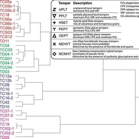 dendrogram obtained from the hierarchical clustering analysis using