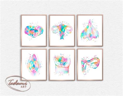 Rainbow Female Anatomy Clitoris Wall Art Gynecology Poster Rainbow