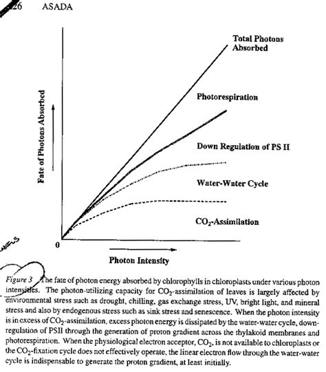 photosynthesis outline esr 445