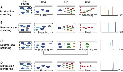 Mass Spectrometry And Protein Analysis Science