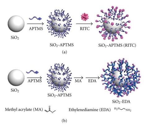 Aptes And And Nanoparticles Structure