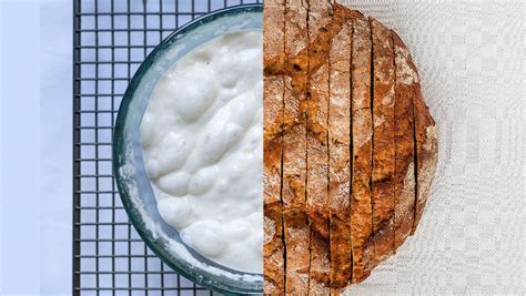 how to make your own yeast for baking bread rachael ray show