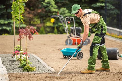 How To Rake In Grass Seed [step By Step Guide]