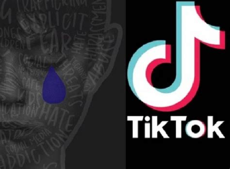 Dangers Of Tiktok Does The Tiktok App Really Pose A Threat To Our Data
