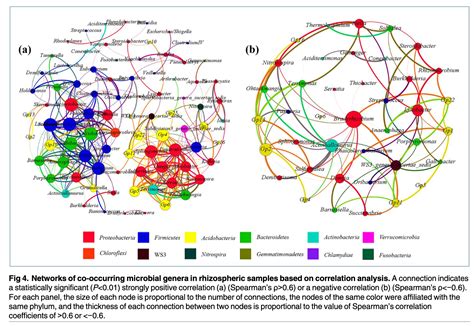microbial network plotting using igraph and gephi · issue 2192 · gephi