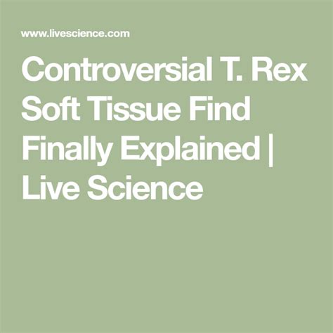 Controversial T Rex Soft Tissue Find Finally Explained Science