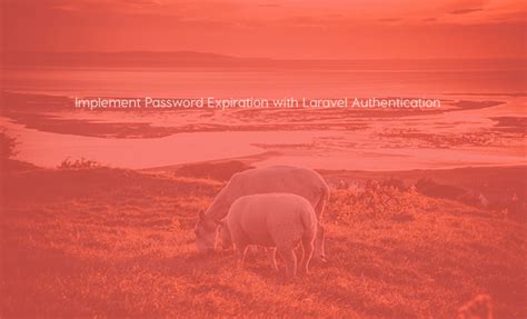 implement password expiration with laravel authentication