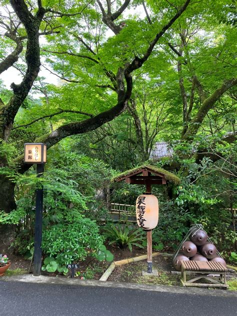鹿児島3泊目 妙見温泉おりはし旅館 部屋 味噌カツ子の旅日記